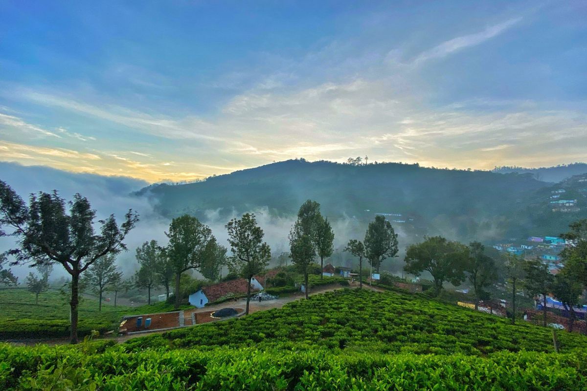 Ooty vs Coorg: Which Is Better For Your Next Hill Station Trip ...