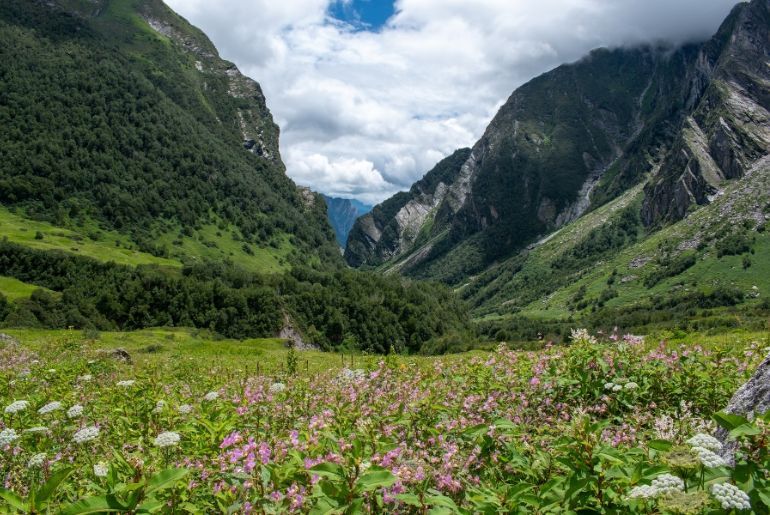 Valley Of Flowers National Park, Uttarakhand, Opens For The Season